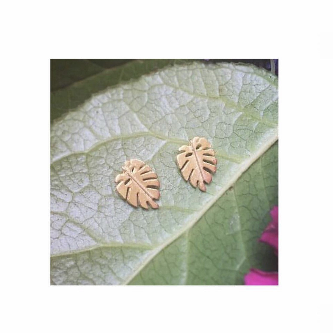 mini monstera studs